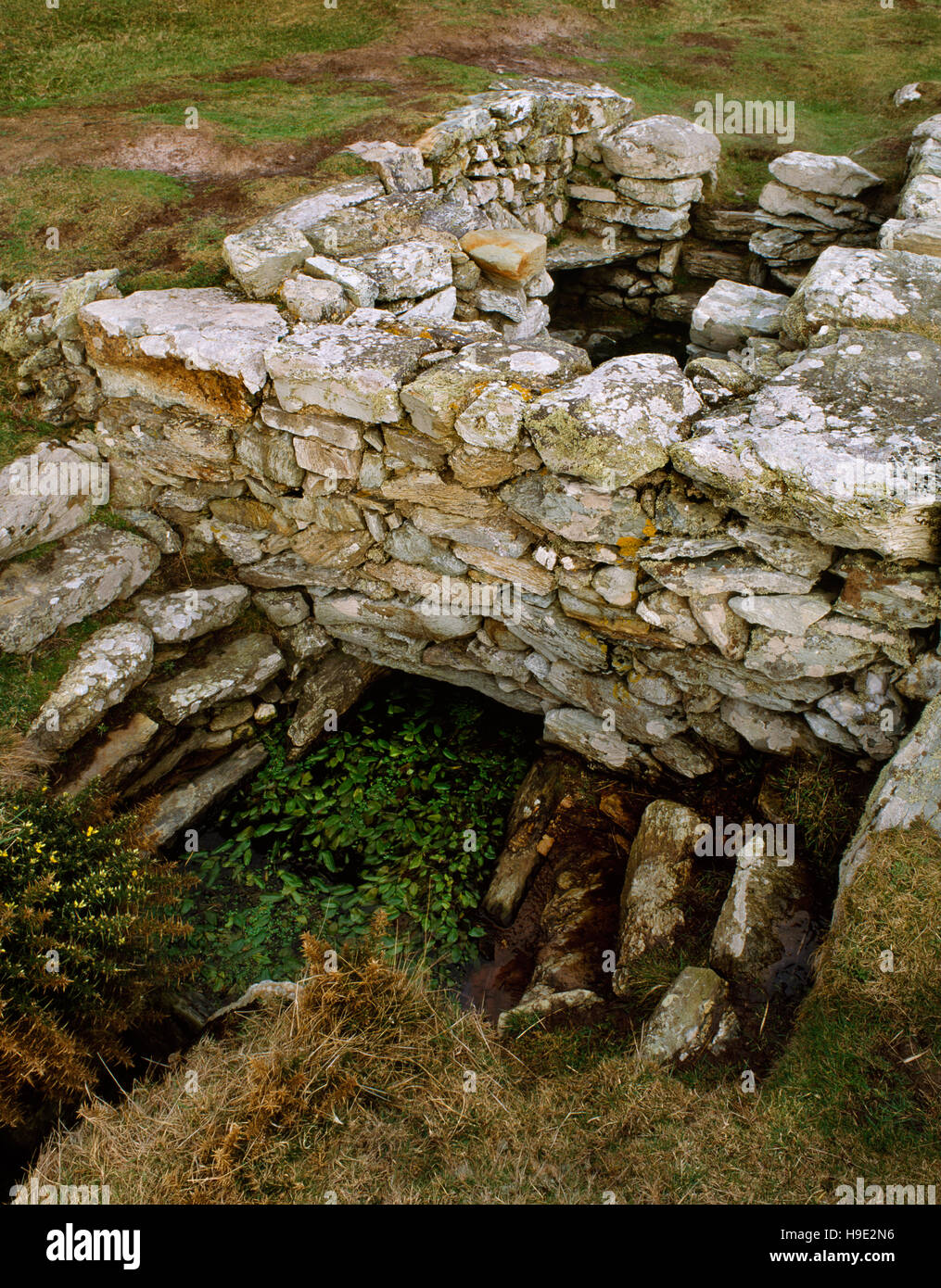 Exterior pool with steps at St Gwenfaen's Well, Anglesey, said to cure ...