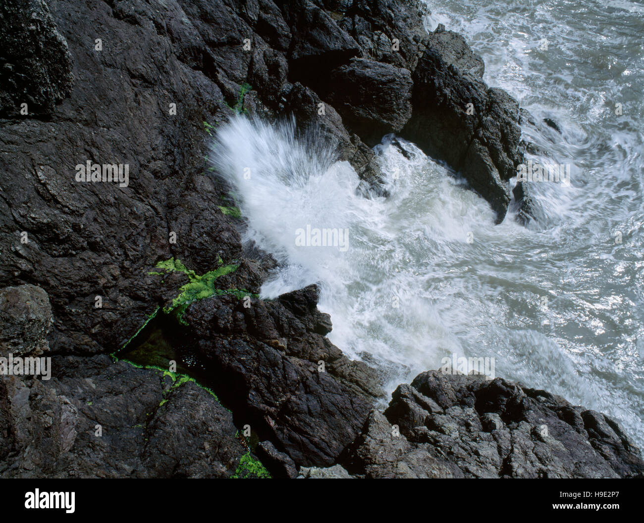 St Mary's Well (Ffynnon Fair): a small triangular pool of fresh water ...