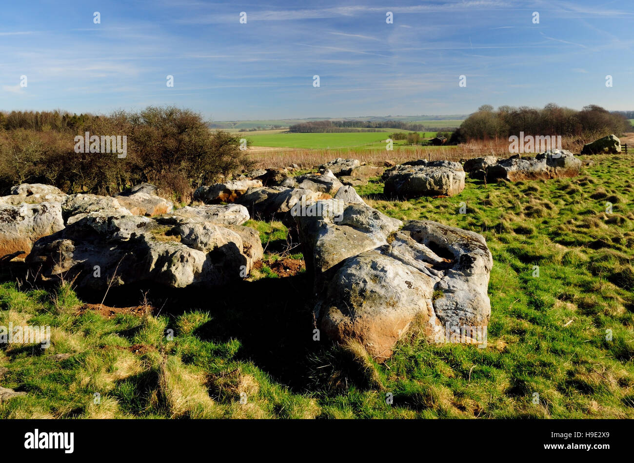 Sarsen stones (grey wethers) at Fyfield Down, part of the Marlborough ...