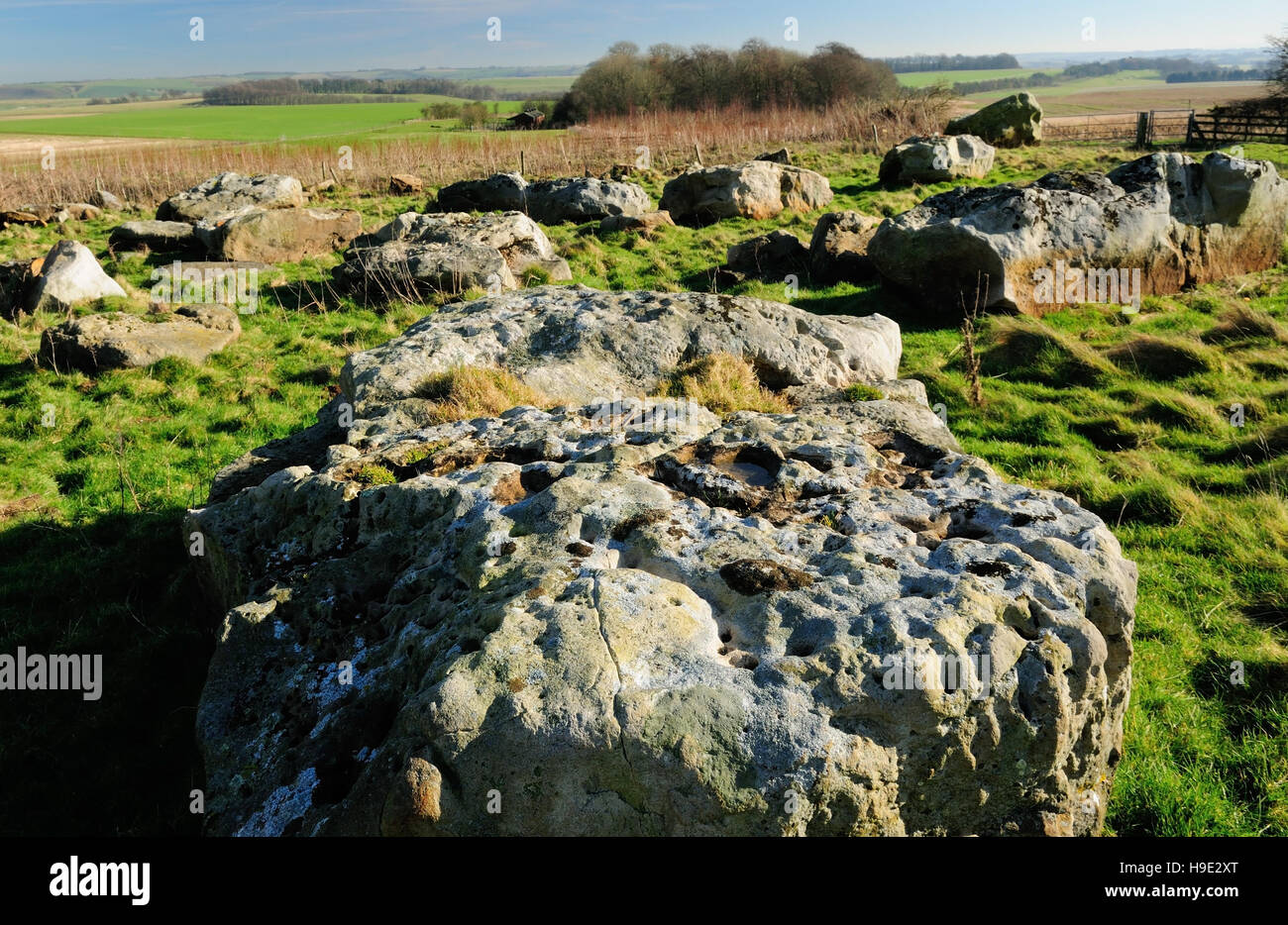 Sarsen stones (grey wethers) at Fyfield Down, part of the Marlborough ...