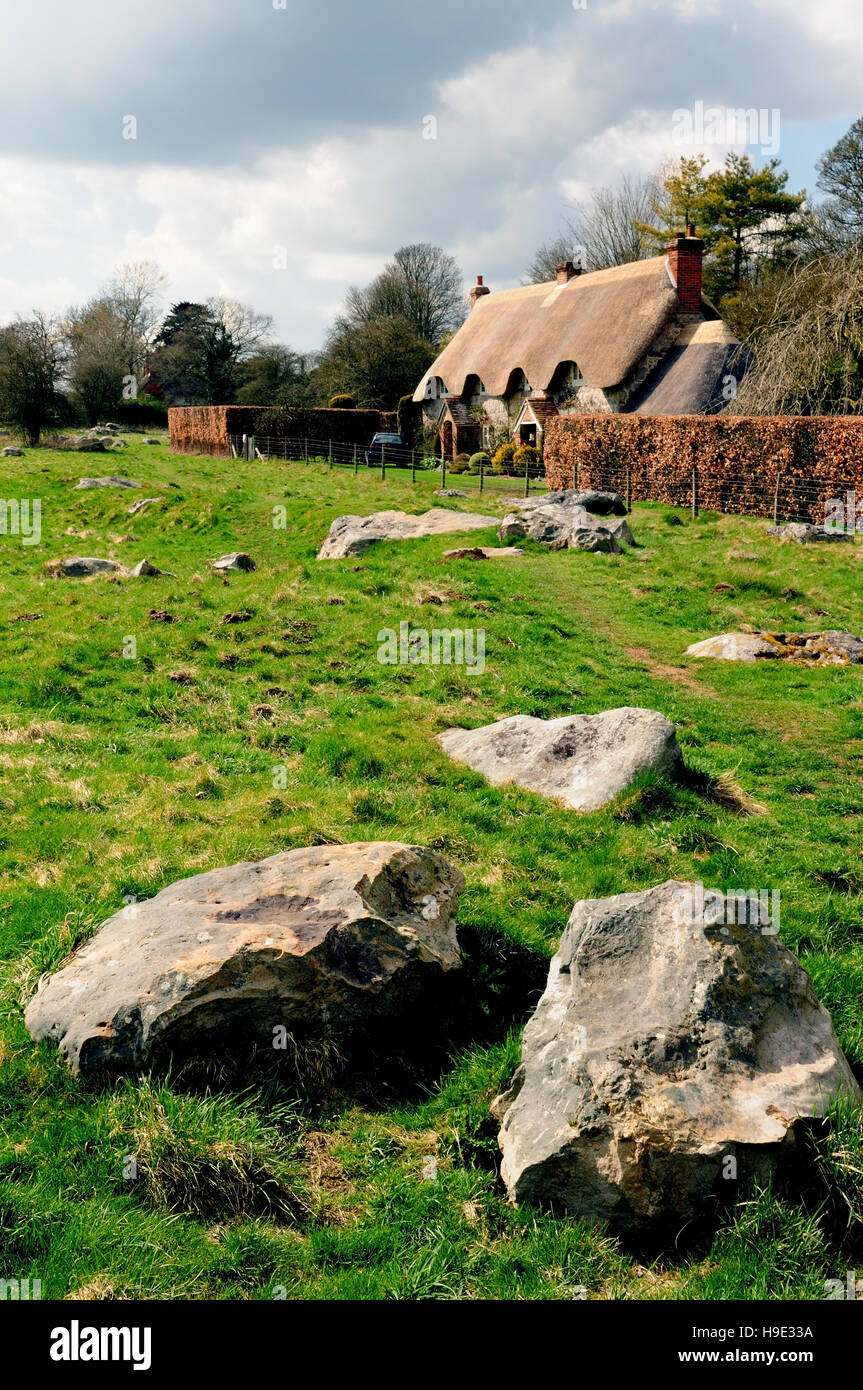 Sarsen stones at Lockeridge Dene Stock Photo - Alamy