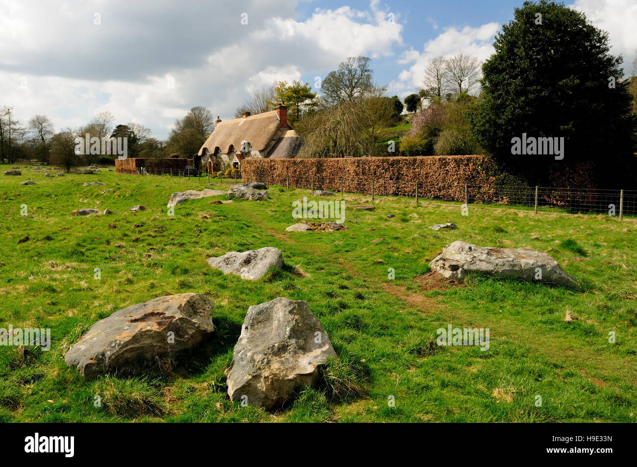 Lockeridge dene hi-res stock photography and images - Alamy