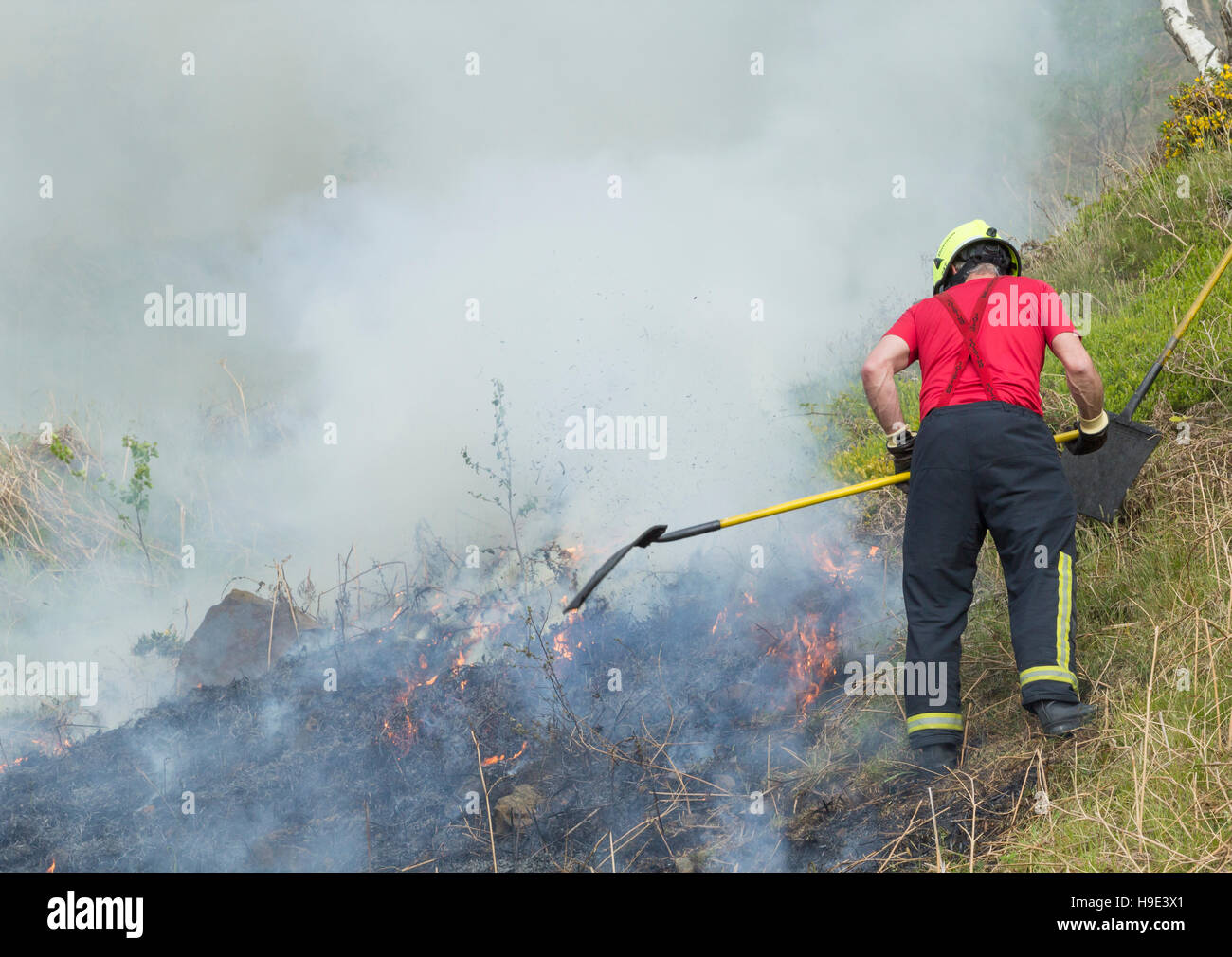 Tackling forest fire hi-res stock photography and images - Alamy