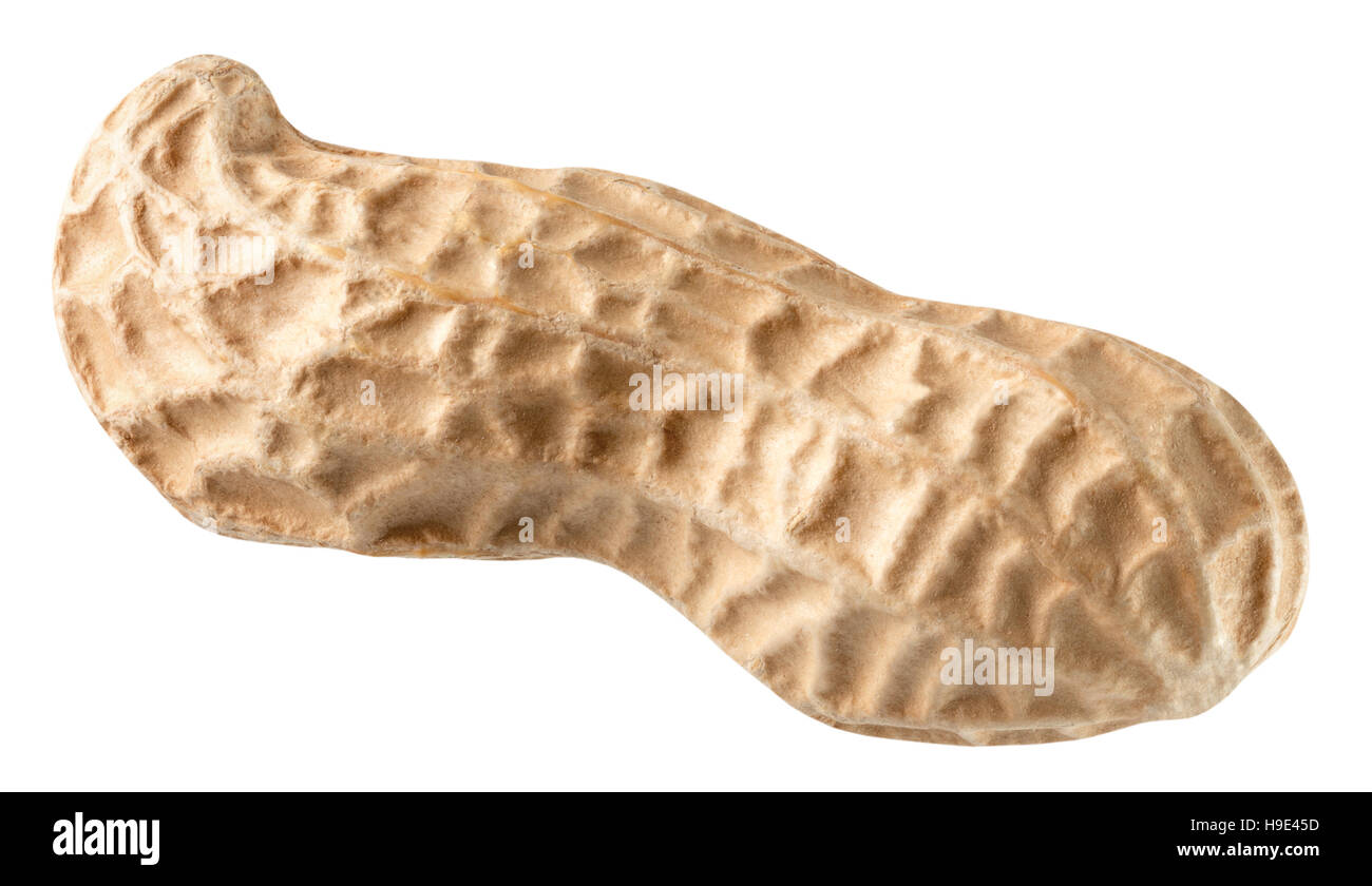 peanuts in shell isolated on the white background Stock Photo - Alamy