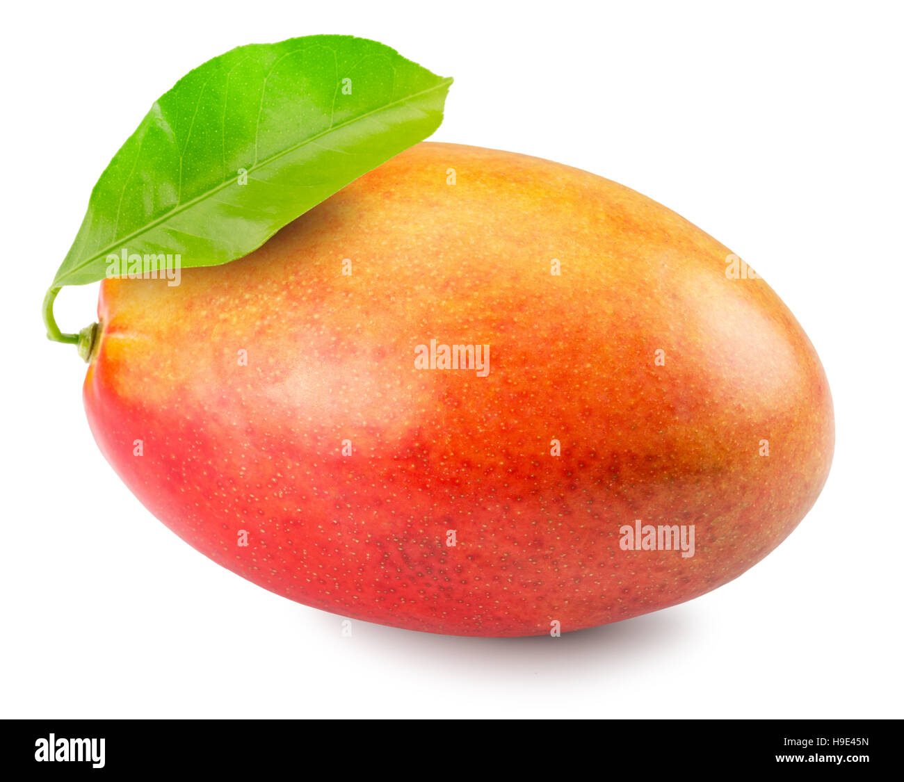 mango isolated on the white background Stock Photo - Alamy
