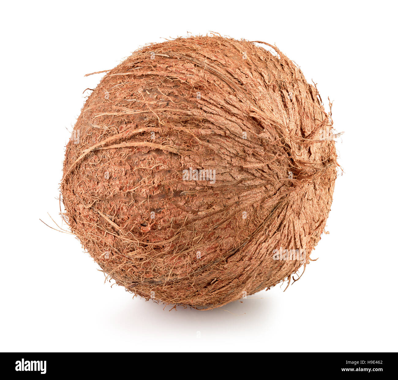 coconut isolated on the white background Stock Photo - Alamy