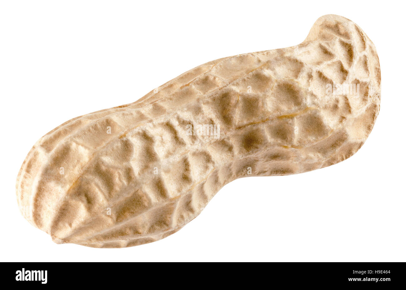 peanuts in shell isolated on the white background Stock Photo - Alamy