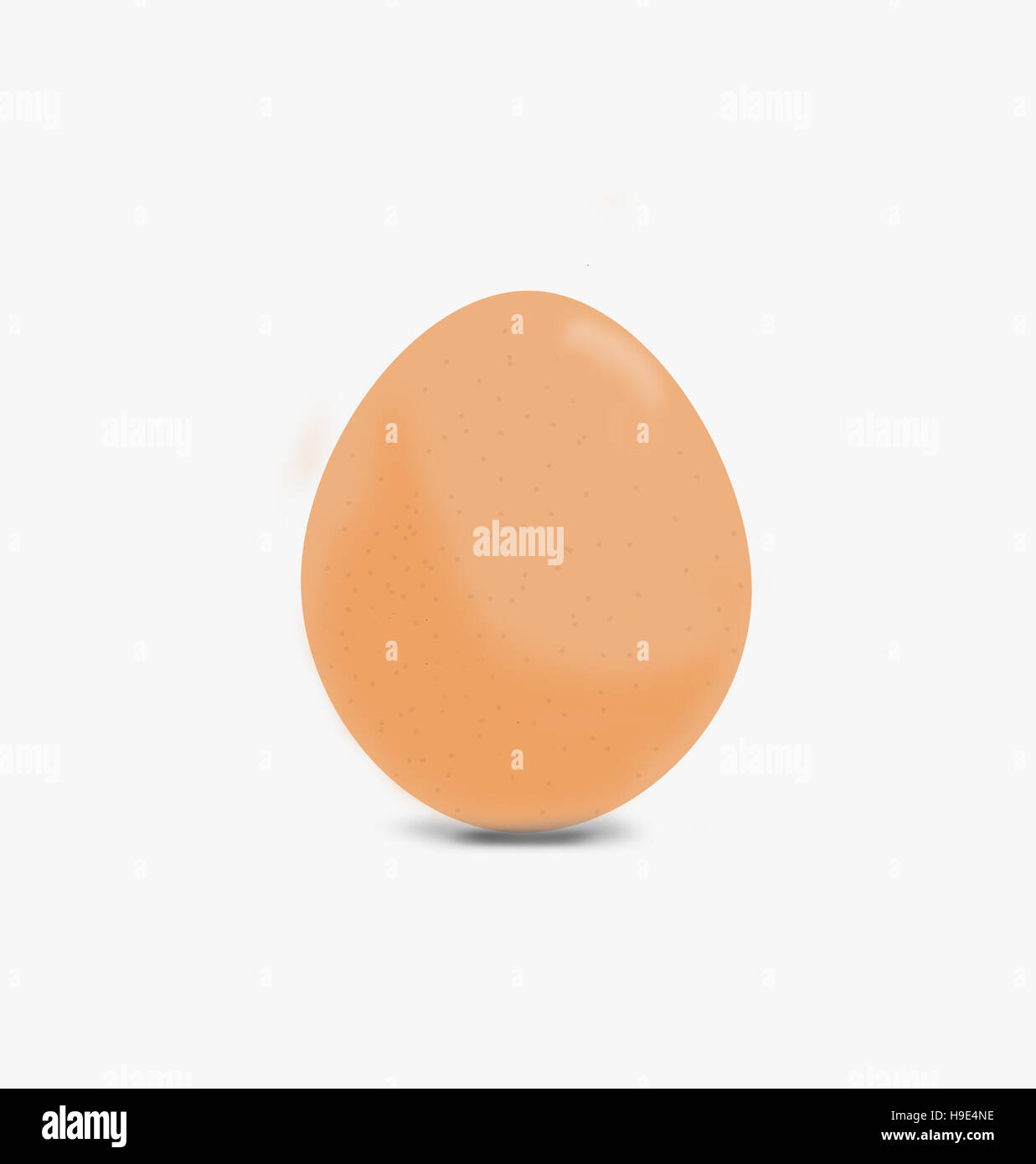 Egg on white background Stock Photo - Alamy