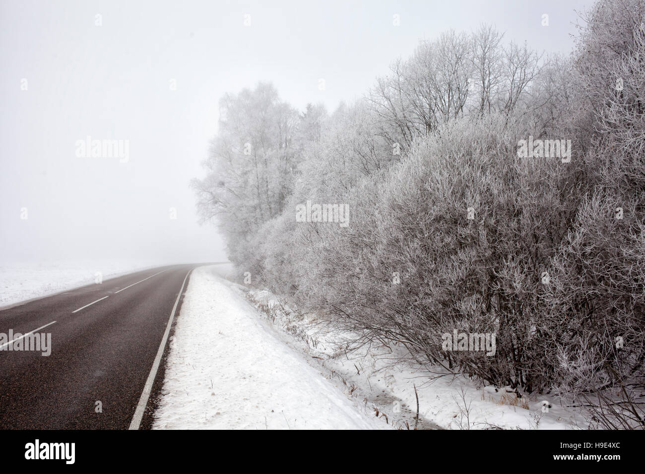Snowy winter road turn with frost on roadside bushes and trees Stock ...