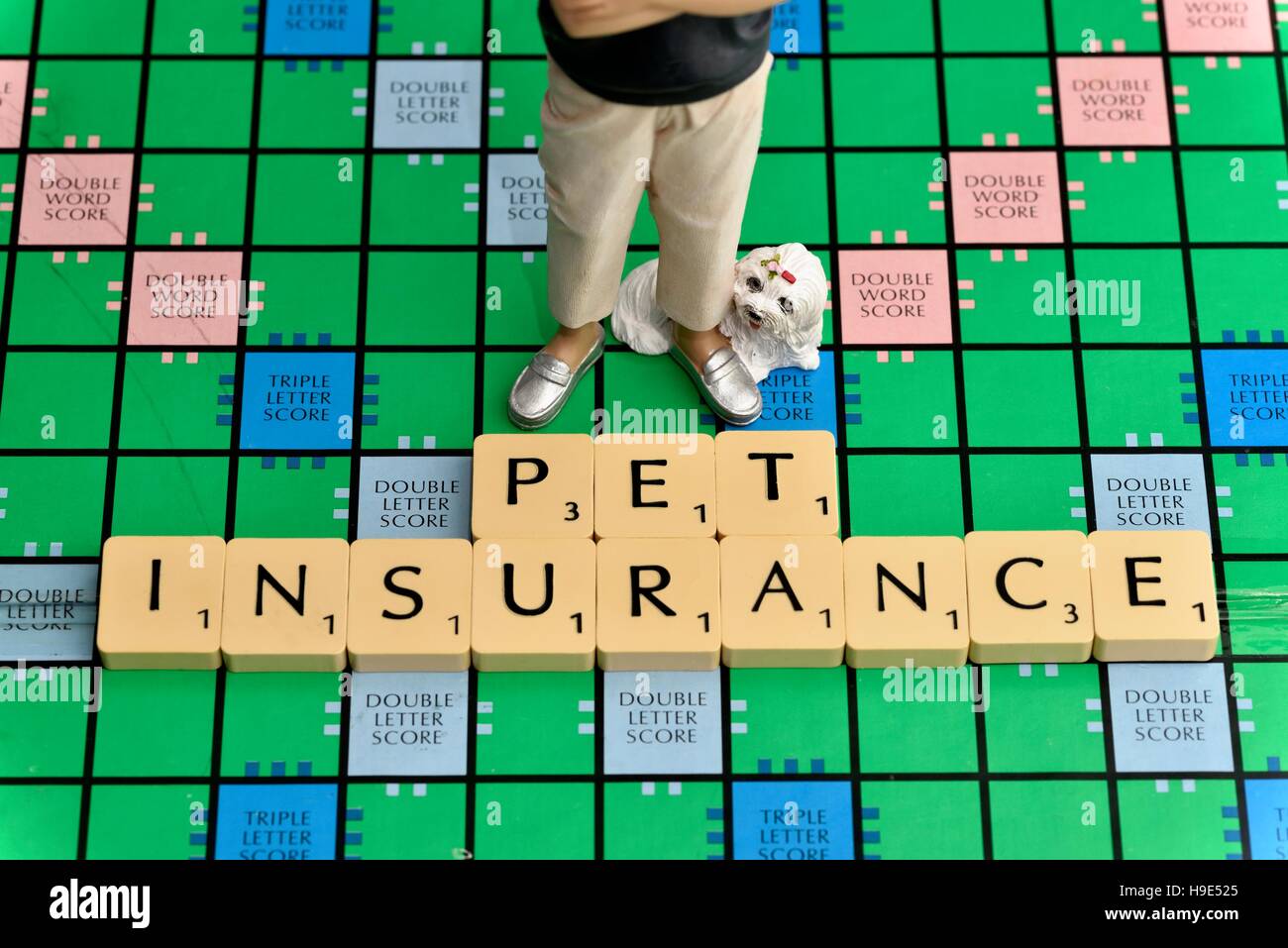 Pet insurance concept Stock Photo - Alamy