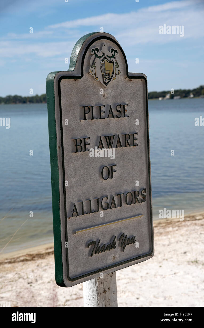 Mount Dora Florida USA - Alligator warning sign on the beach of Lake ...