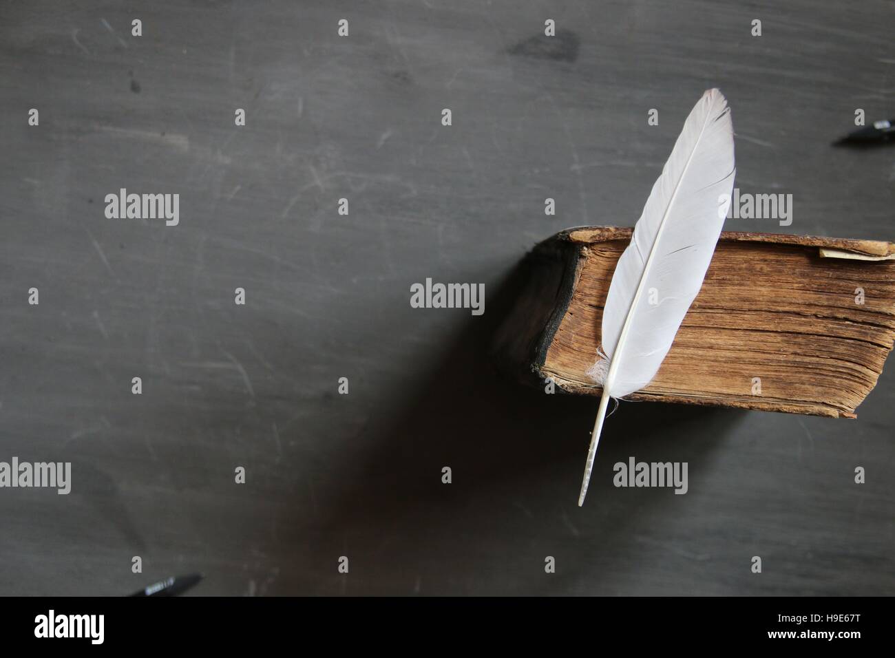 Courses of study hi-res stock photography and images - Alamy