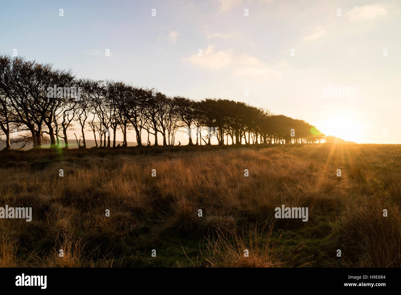 Sunset over Porlock Common, Exmoor National Park, Somerset, England, UK ...