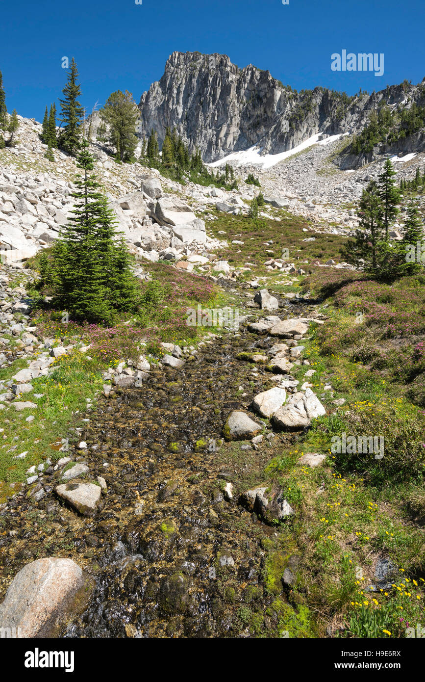 Headwaters stream in Oregon's Wallowa Mountains Stock Photo - Alamy
