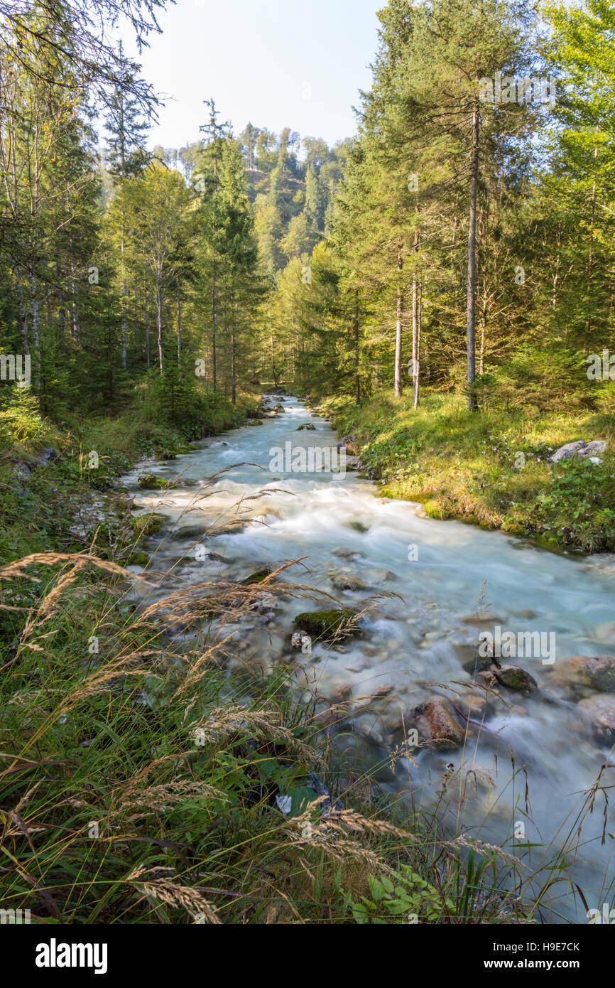 River in the Alm valley, Upper Austria, Austria Stock Photo - Alamy