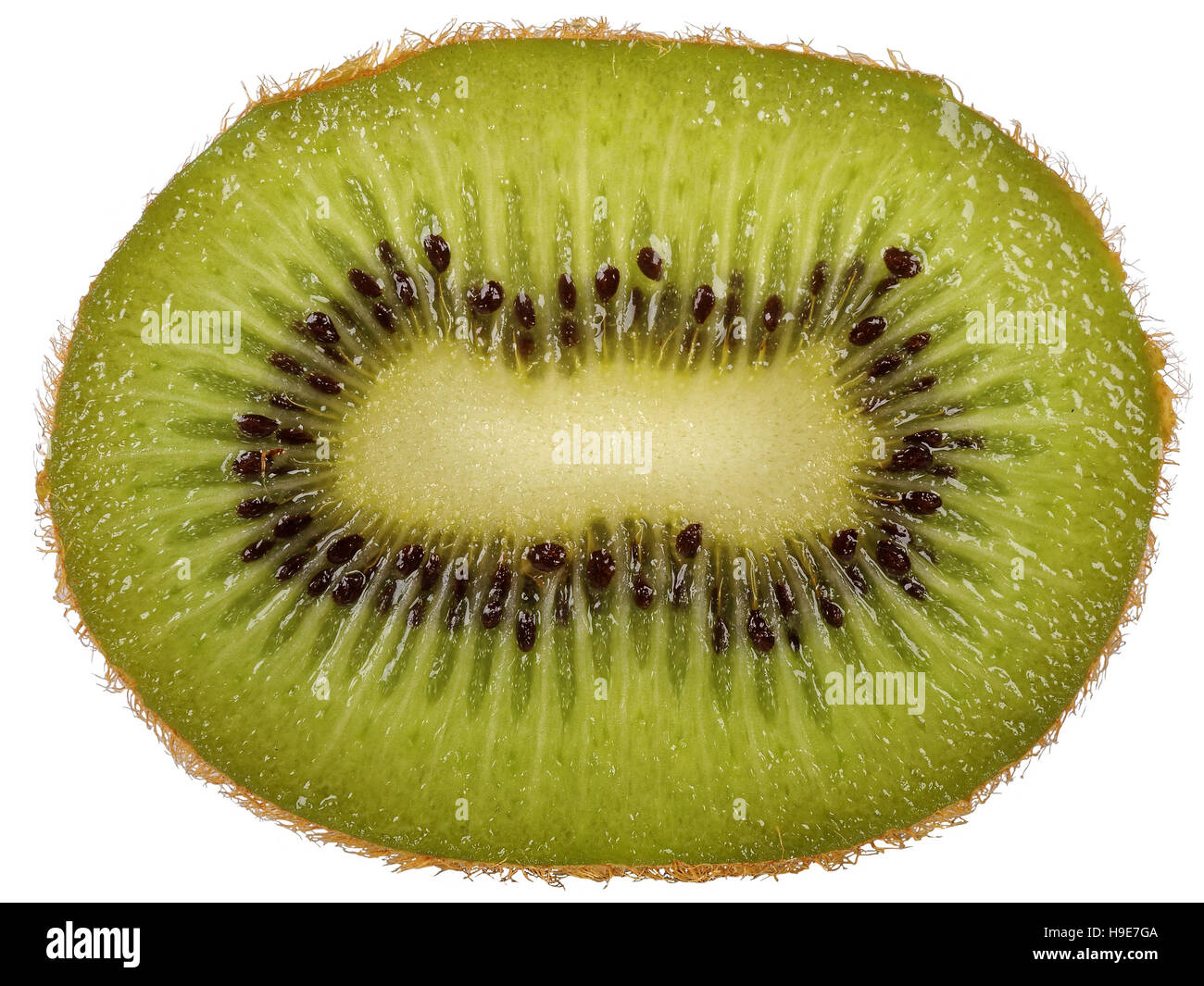 cut in half kiwi fruit isolated on white background Stock Photo - Alamy cut in half kiwi fruit isolated on white background Stock Photo - Alamy