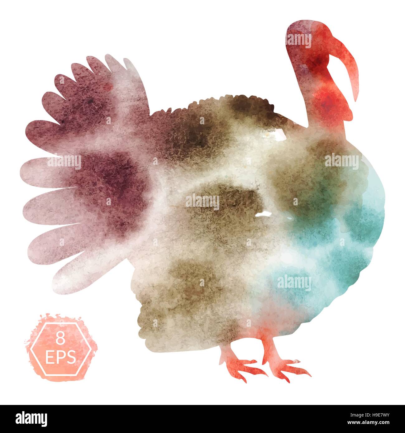 Vector. Watercolor turkey isolated on white background for your design ...