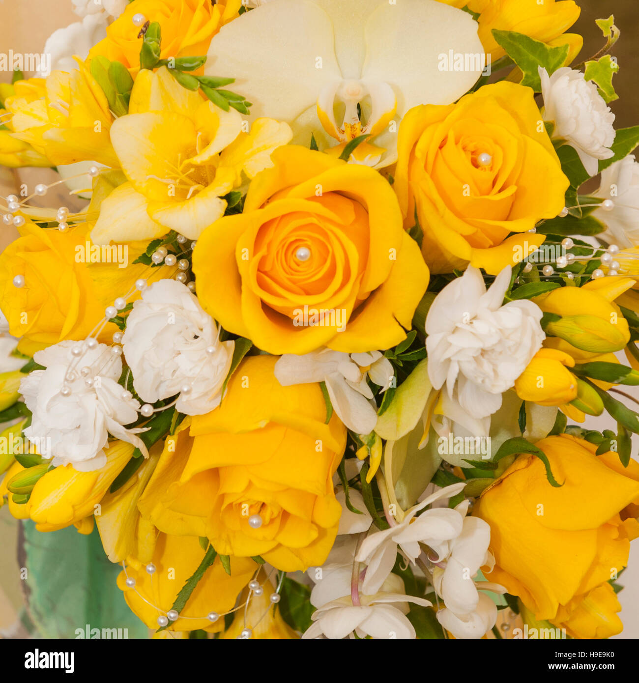 Flowers at the Royal Norfolk Show in the Showground , Norwich , Norfolk ...