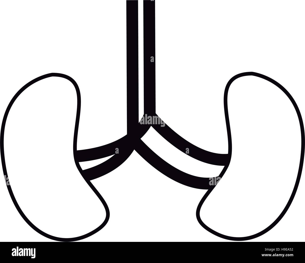 silhouette system renal with kidneys and veins vector illustration ...