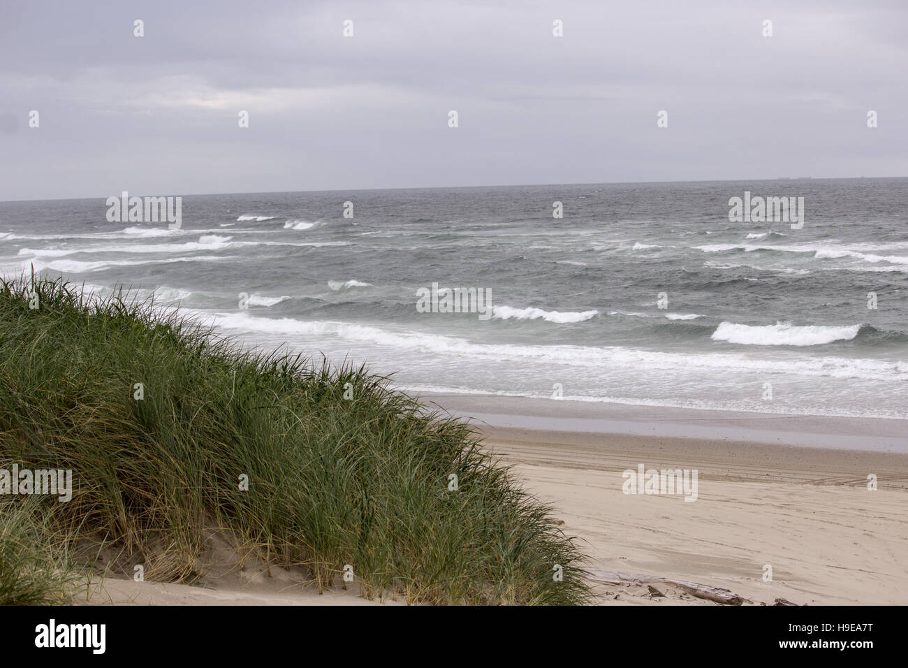 A Gloomy day at the beach in Florence, Oregon Stock Photo - Alamy