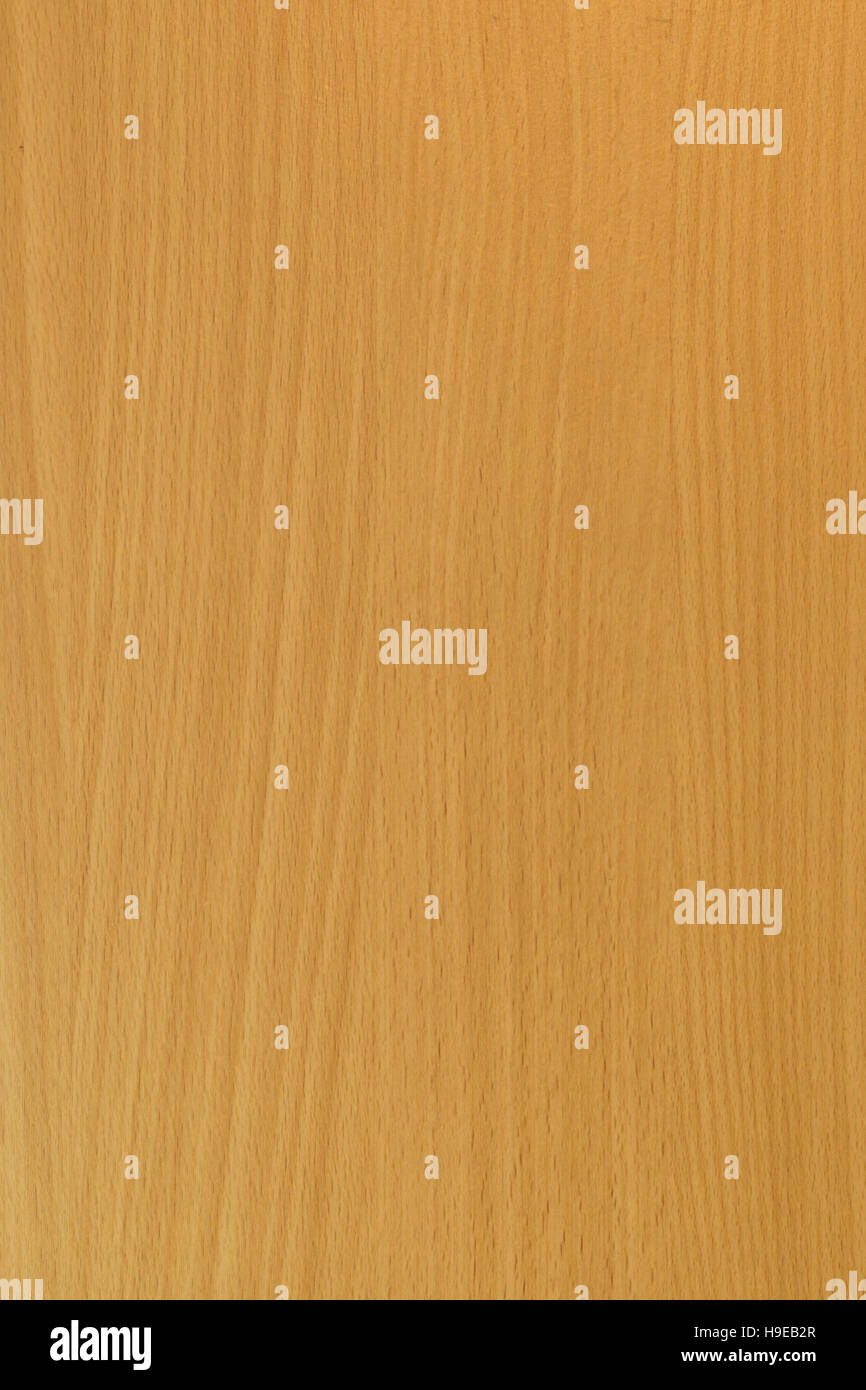 Beech Timber Pattern Stock Photo - Alamy
