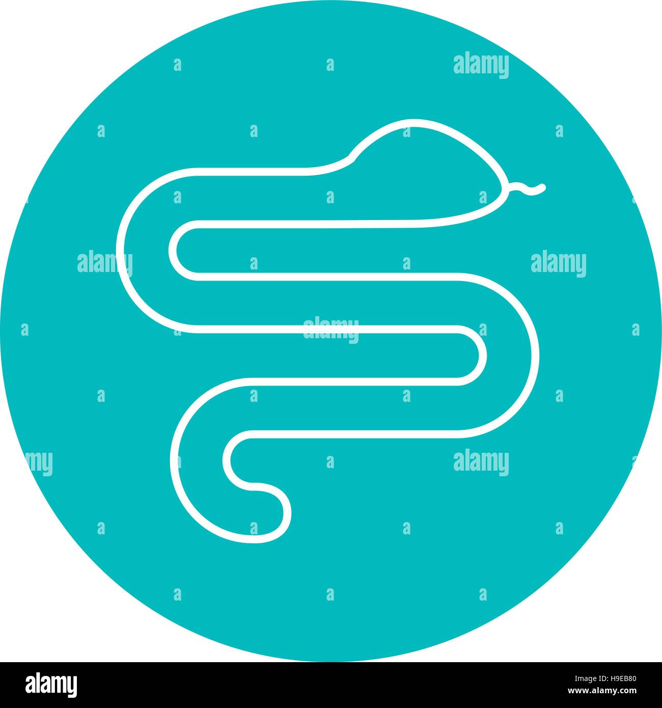 Snake Circle Stock Photos & Snake Circle Stock Images - Alamy