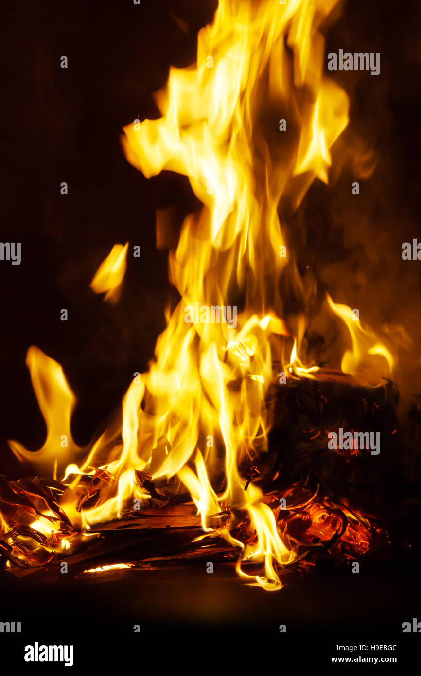 Piles of scrap wood waste are burning on fire Stock Photo - Alamy