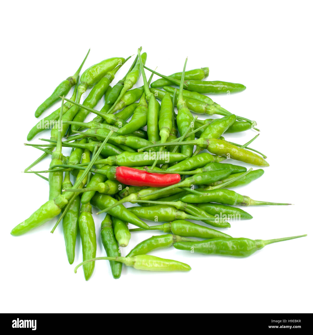 Red green chillies isolated on white background Stock Photo - Alamy