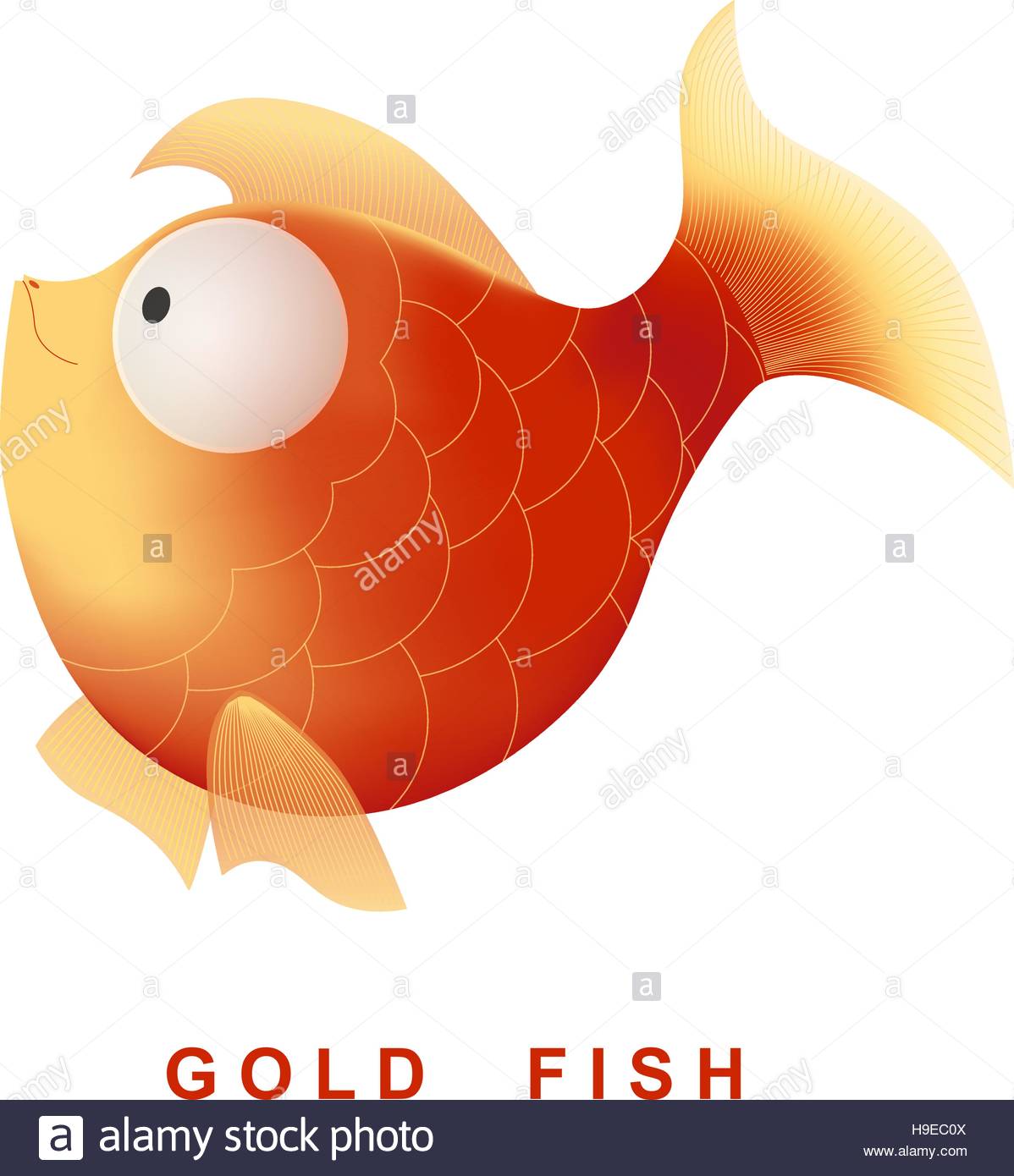 Goldfish Cartoon Stock Photos & Goldfish Cartoon Stock Images - Alamy