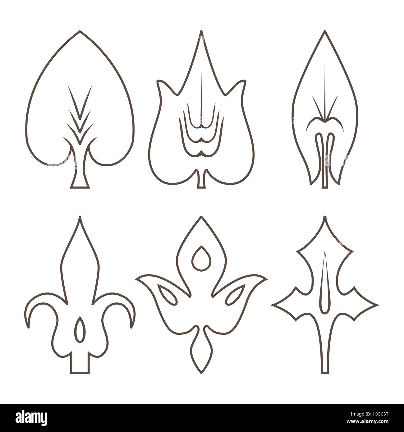 Decorative Shape Outline