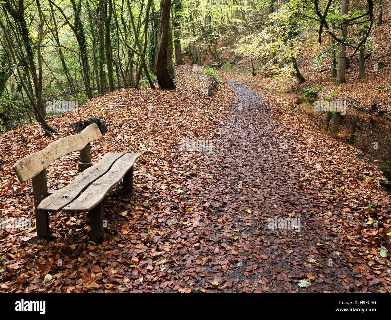 Bench footpath path seat hi-res stock photography and images - Alamy