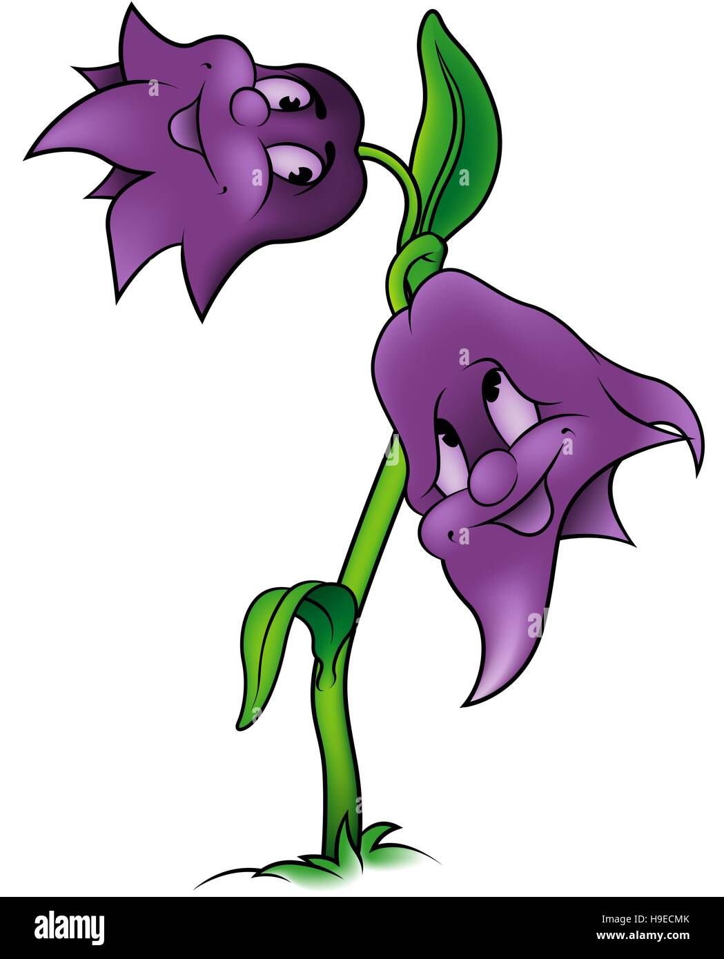 Two Purple Bell flowers Stock Vector Image & Art - Alamy