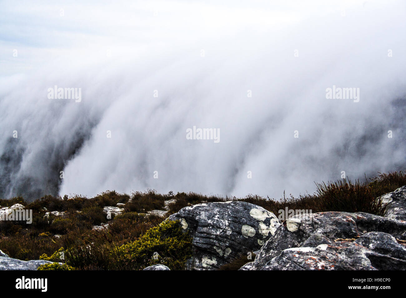 Rolling mist on Table Mountain, Cape Town, South Africa Stock Photo - Alamy