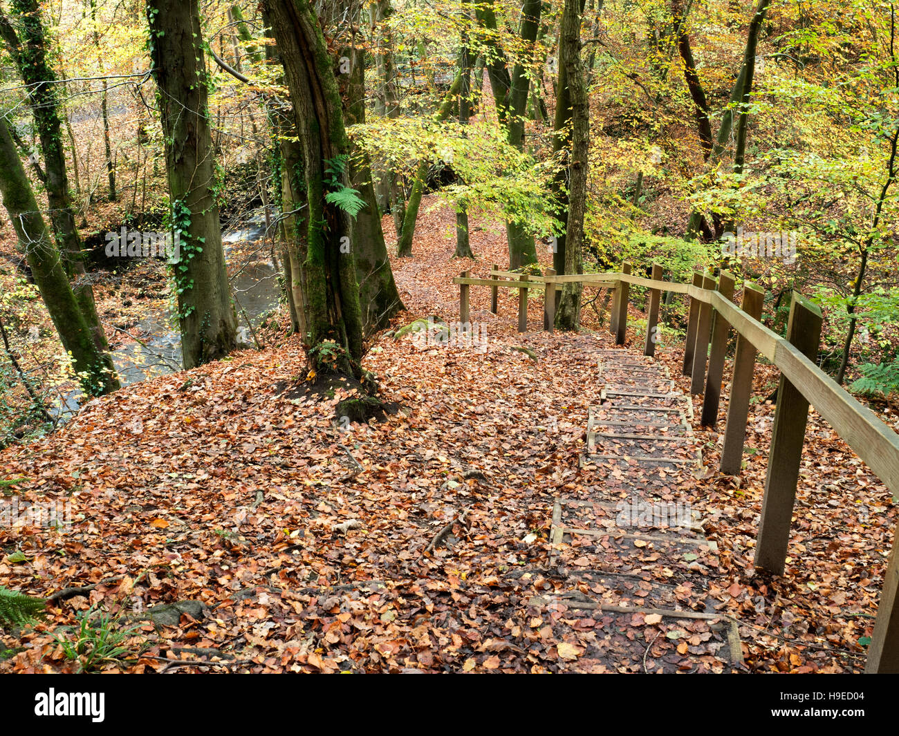 Bank of england steps hi-res stock photography and images - Alamy