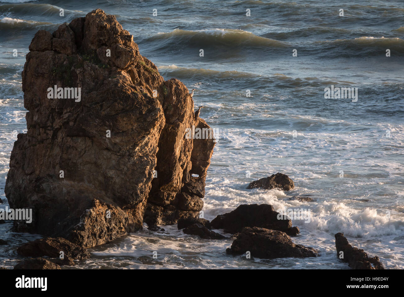 Rock Promontory: Waves and Cliff Sea Gulls Stock Photo - Alamy