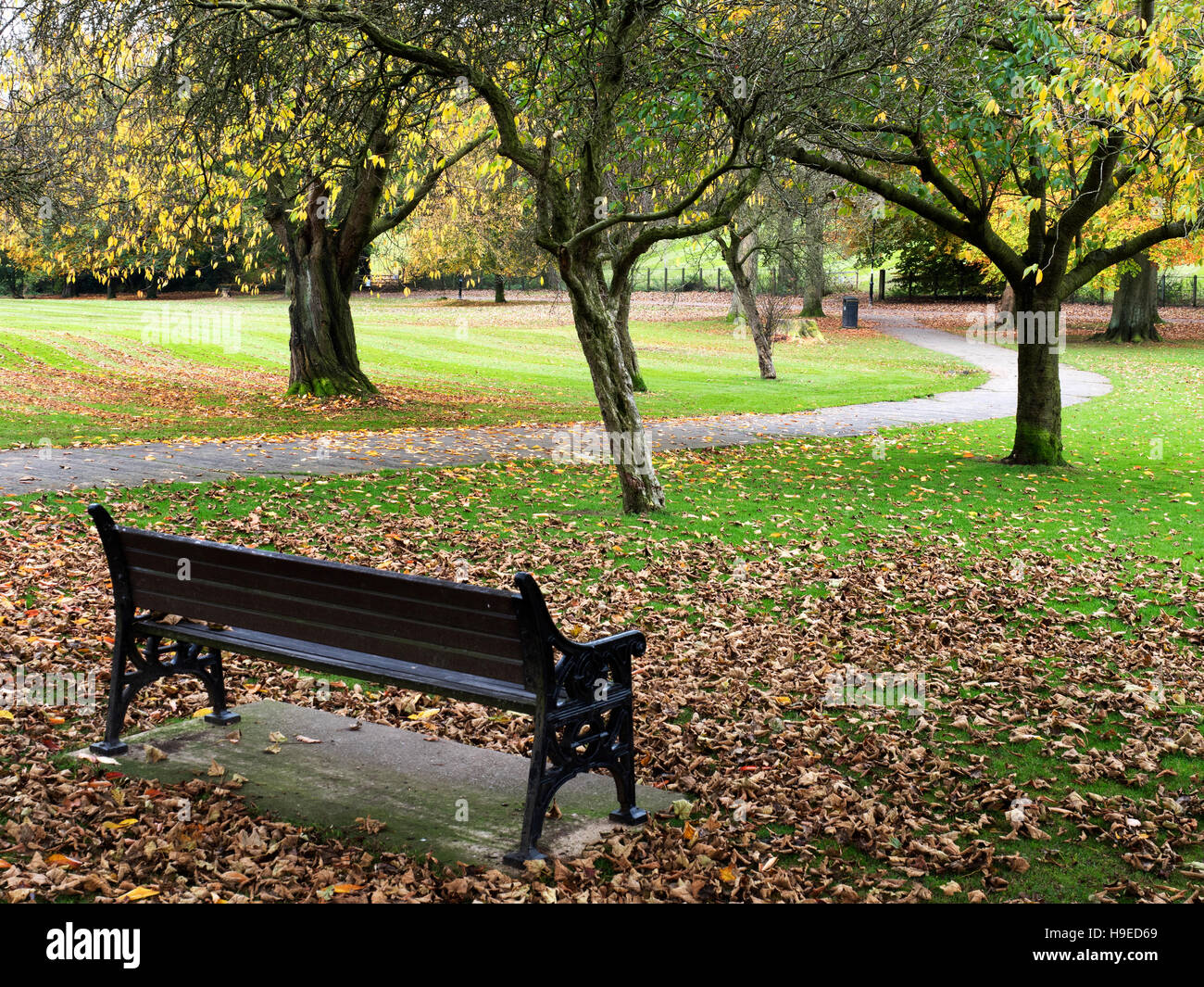Bench footpath path seat hi-res stock photography and images - Alamy