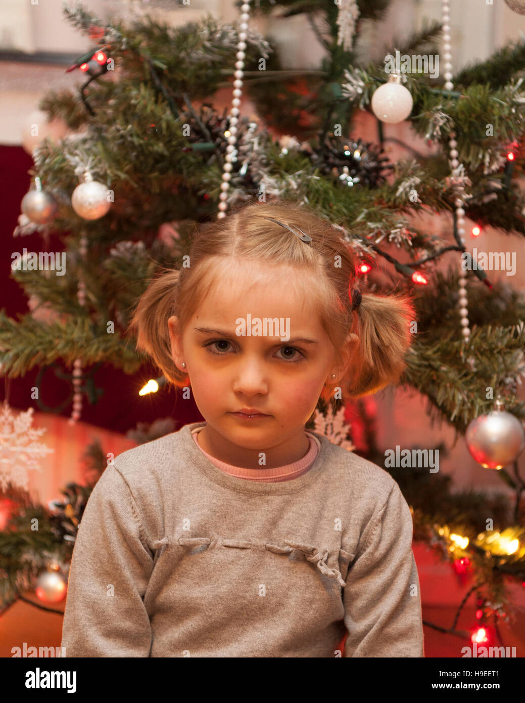 Miserable christmas tree hi-res stock photography and images - Alamy