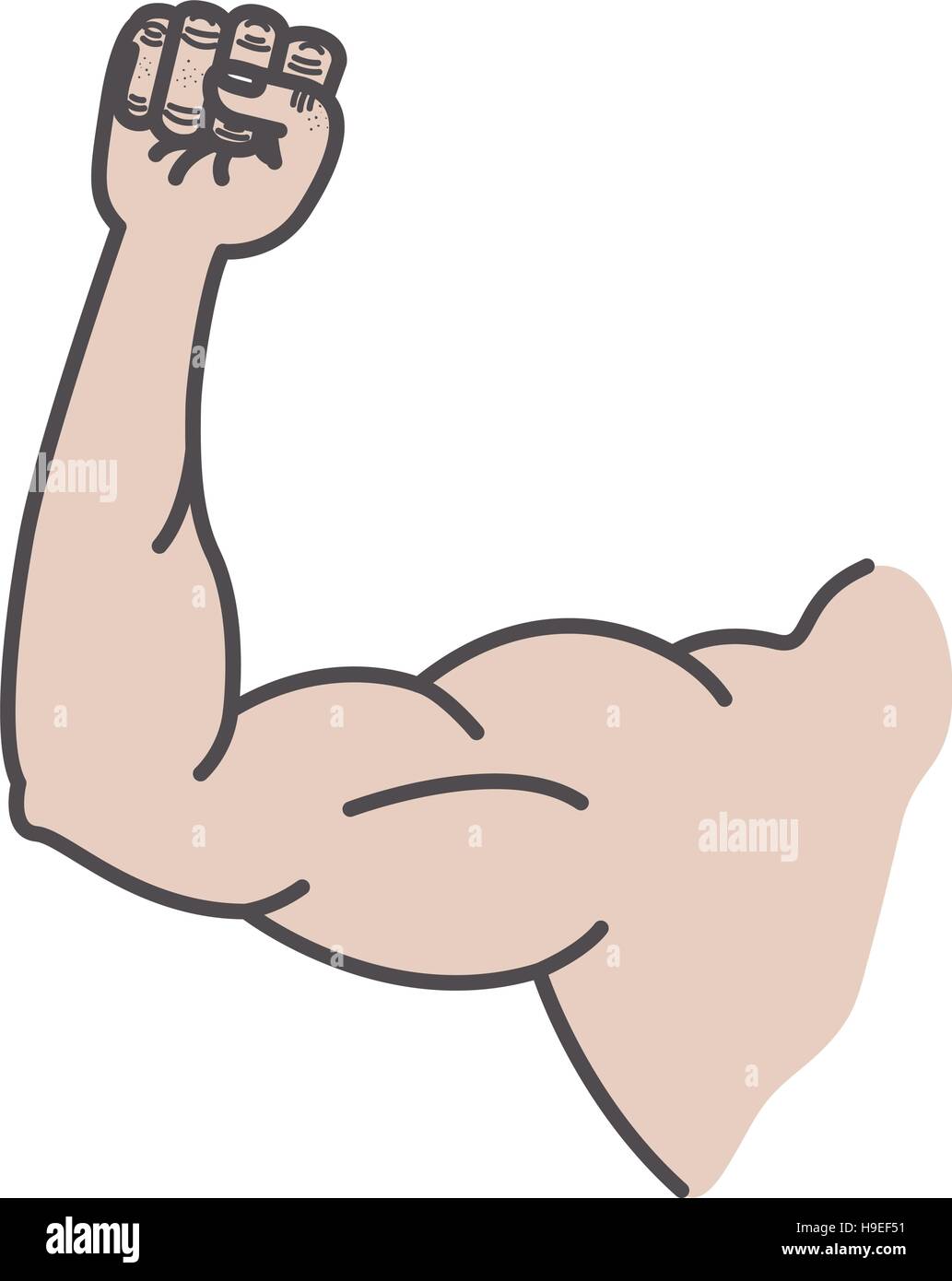 Muscle arm icon. Healthy lifestyle fitness and sport theme. Isolated ...