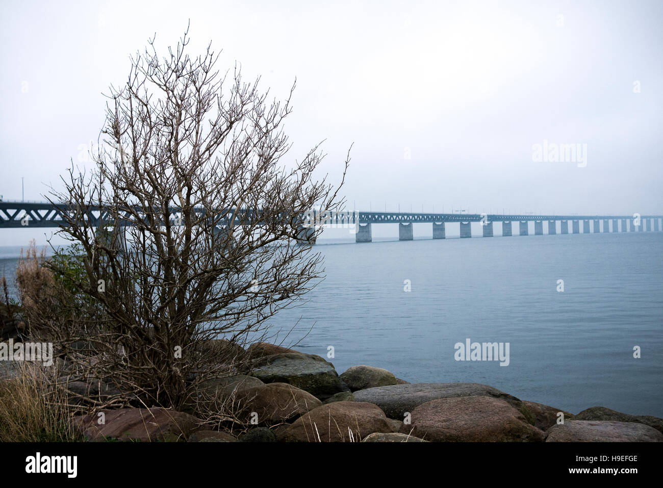 A bush and a bridge Stock Photo - Alamy
