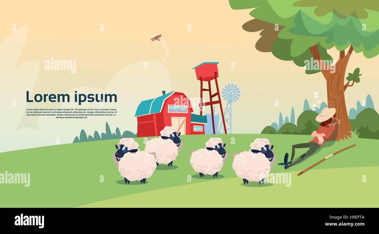 Farmer Shepherd Breeding Sheep Wool Farm Stock Vector Image & Art - Alamy