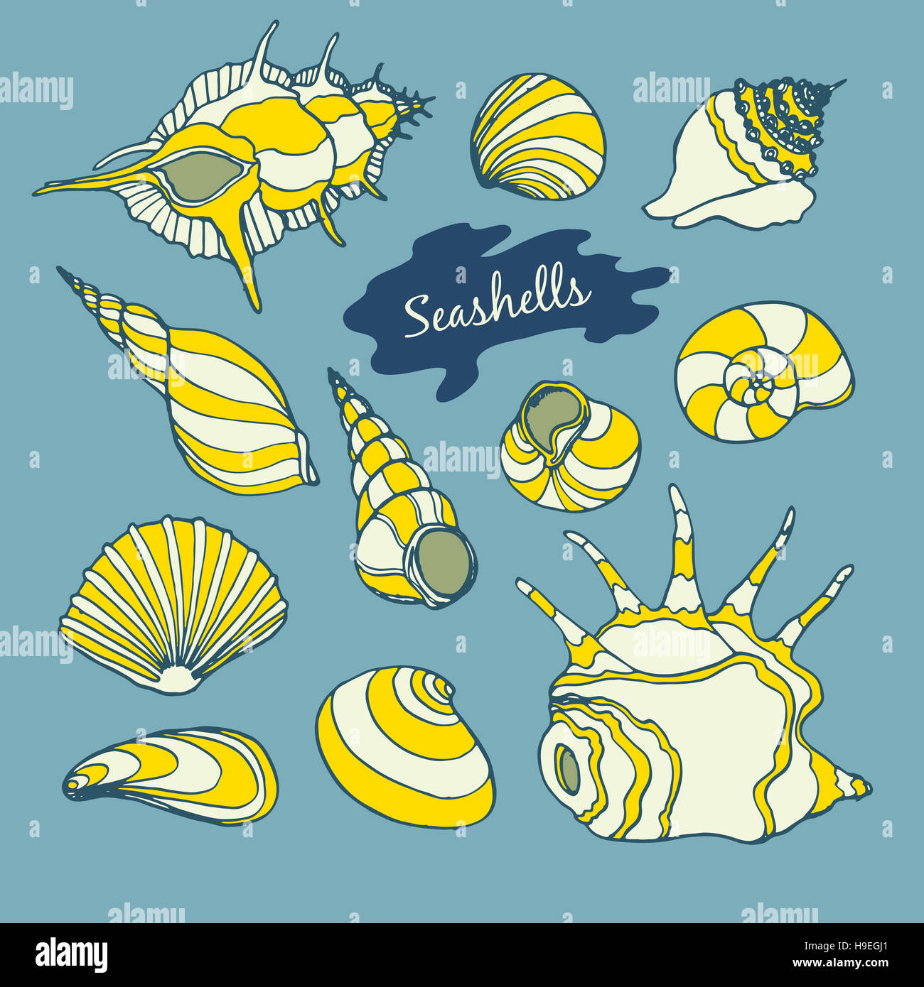 Sea collection with hand drawn vector colorful seashells Stock Photo ...