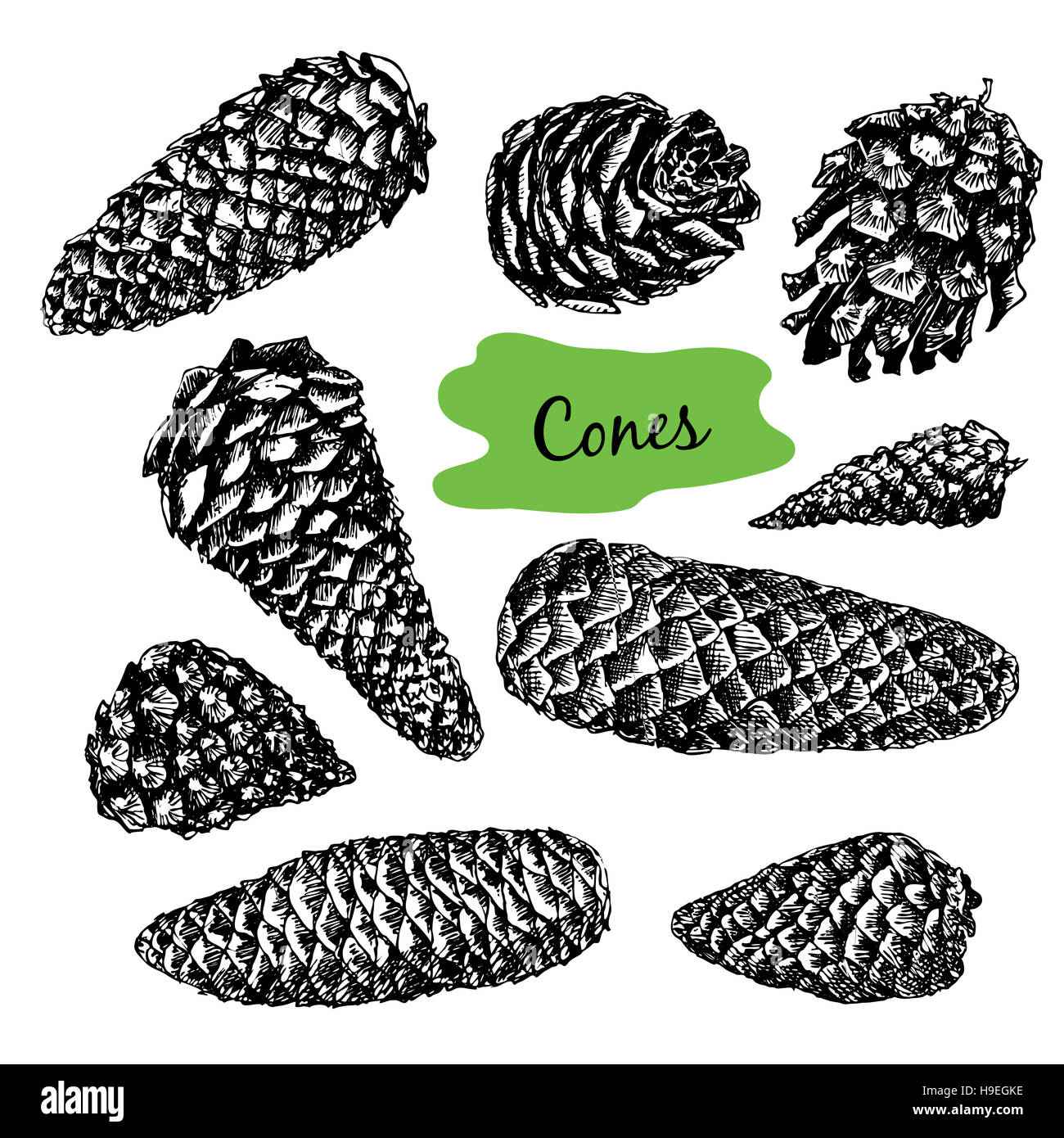 Hand drawn doodle gift Cut Out Stock Images & Pictures - Alamy