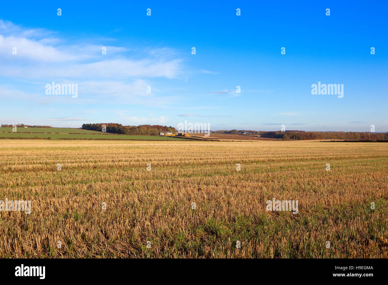 Patterns and textures of stubble fields in the patchwork farming ...