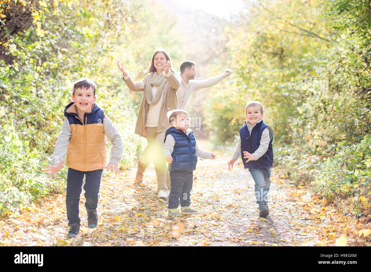 Beautiful young family on a walk in autumn forest Stock Photo - Alamy