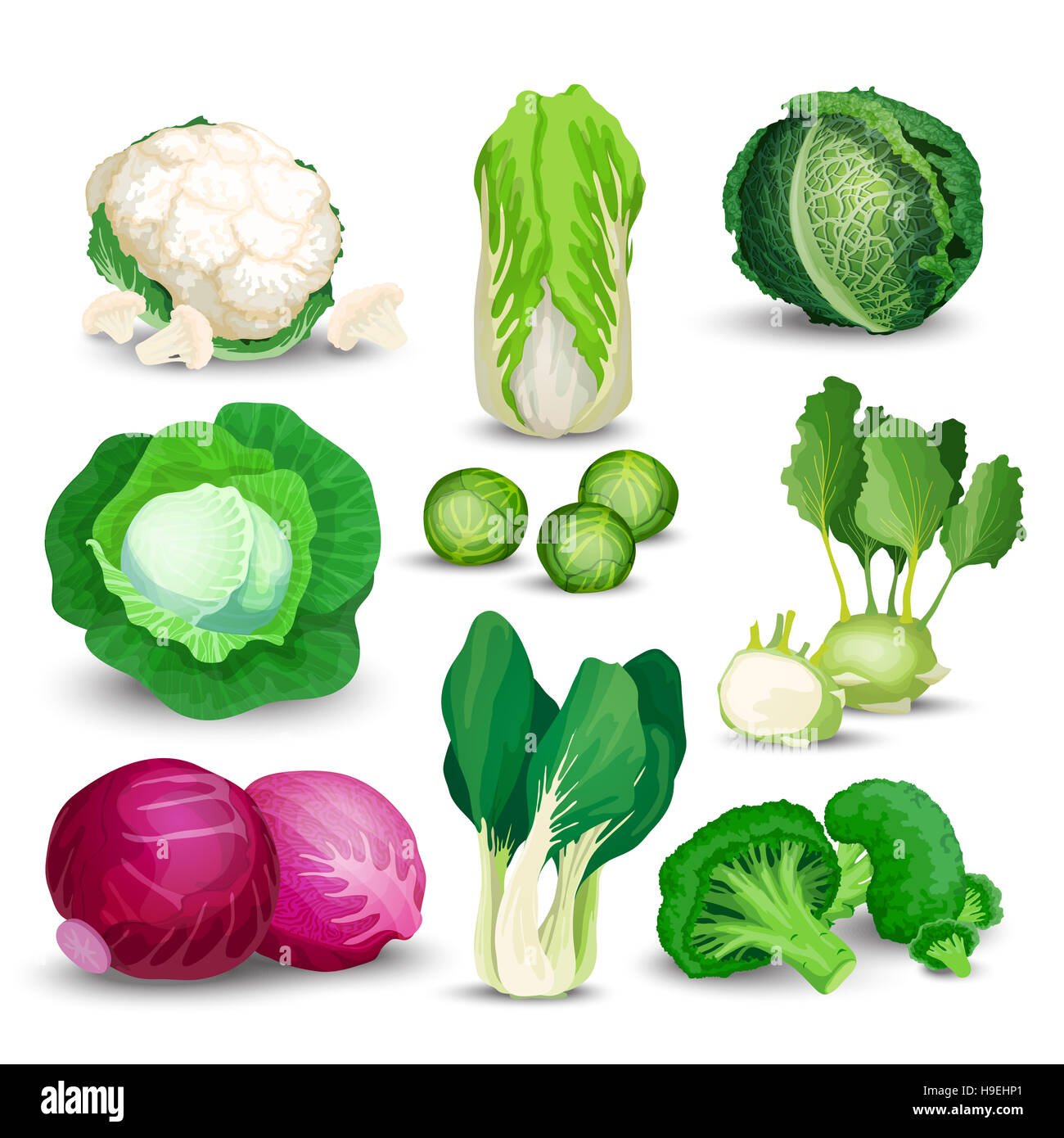 Vegetable set with broccoli, kohlrabi and other different cabbages ...