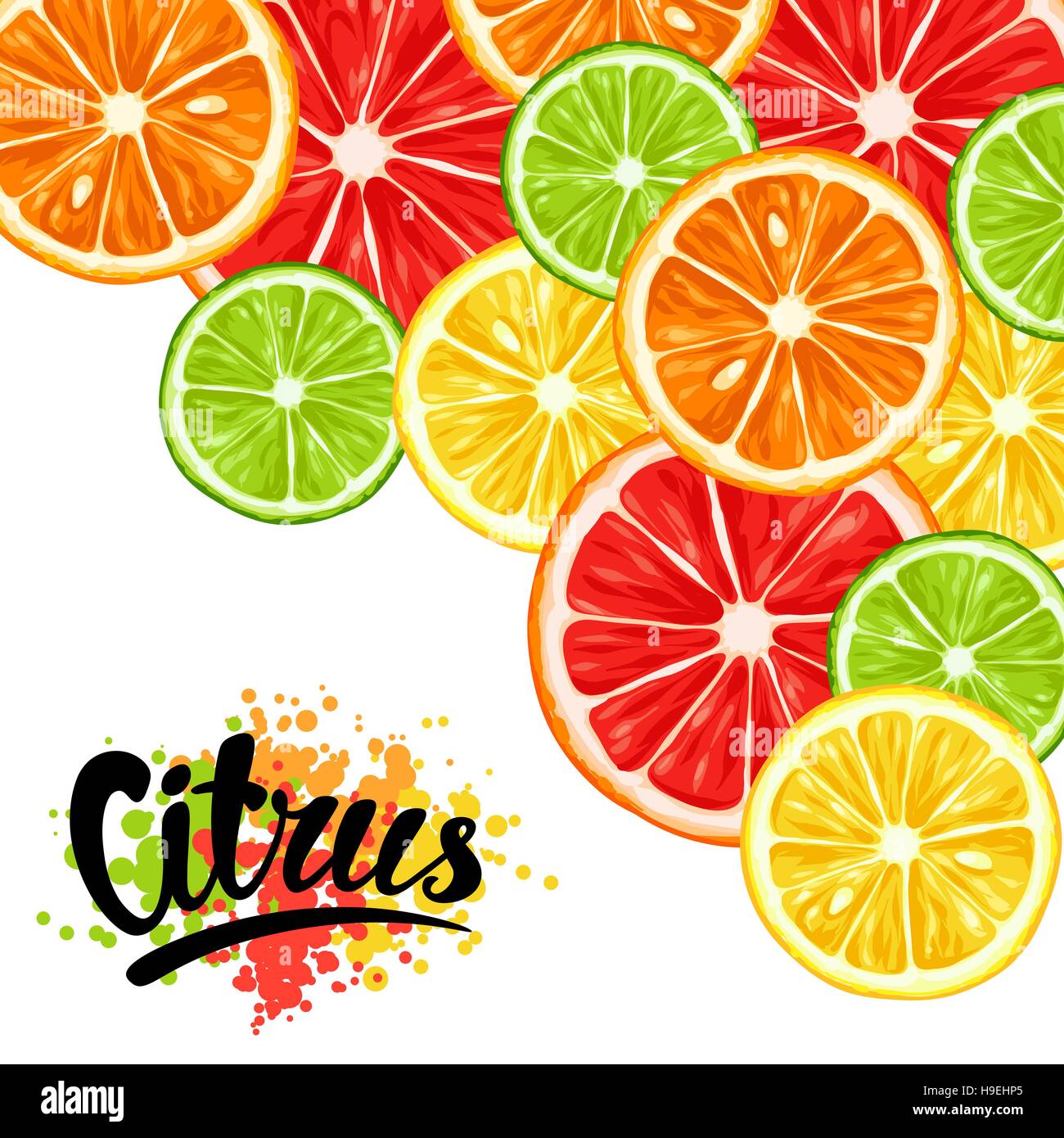 Background with citrus fruits slices. Mix of lemon lime grapefruit and ...