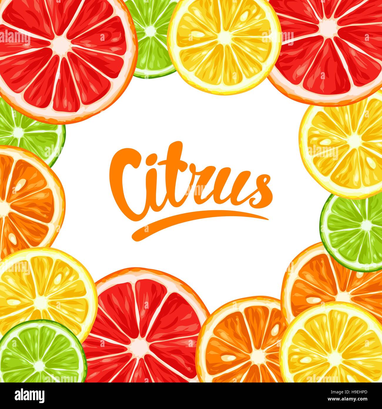 Frame with citrus fruits slices. Mix of lemon lime grapefruit and orange Stock Vector Image ...