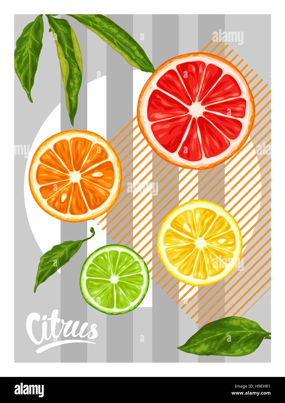 Poster with citrus fruits slices. Mix of lemon lime grapefruit and ...