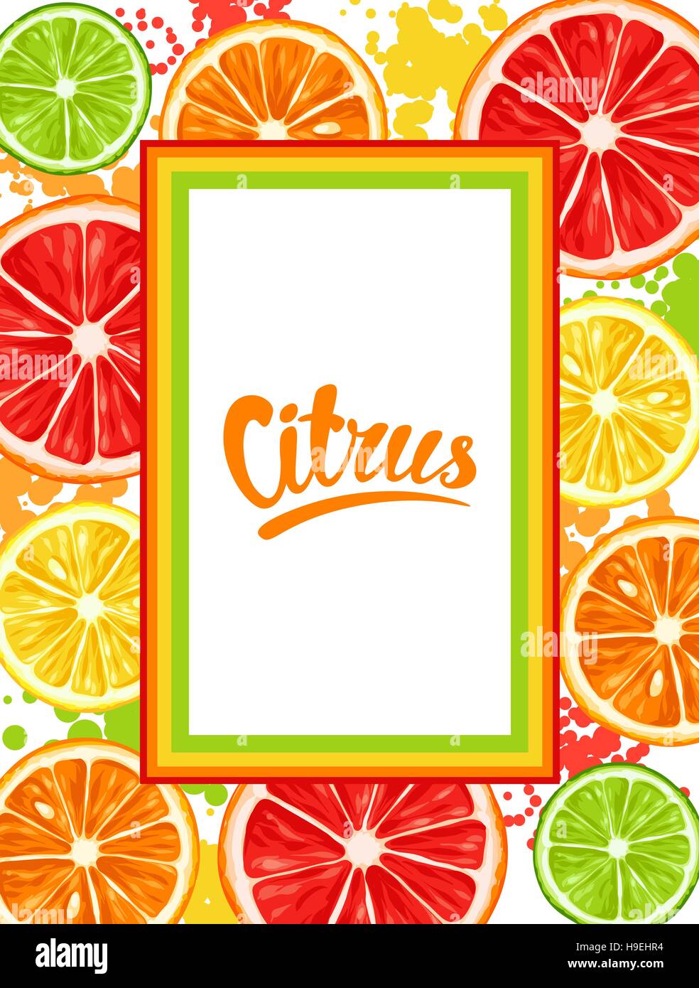 Frame with citrus fruits slices. Mix of lemon lime grapefruit and ...