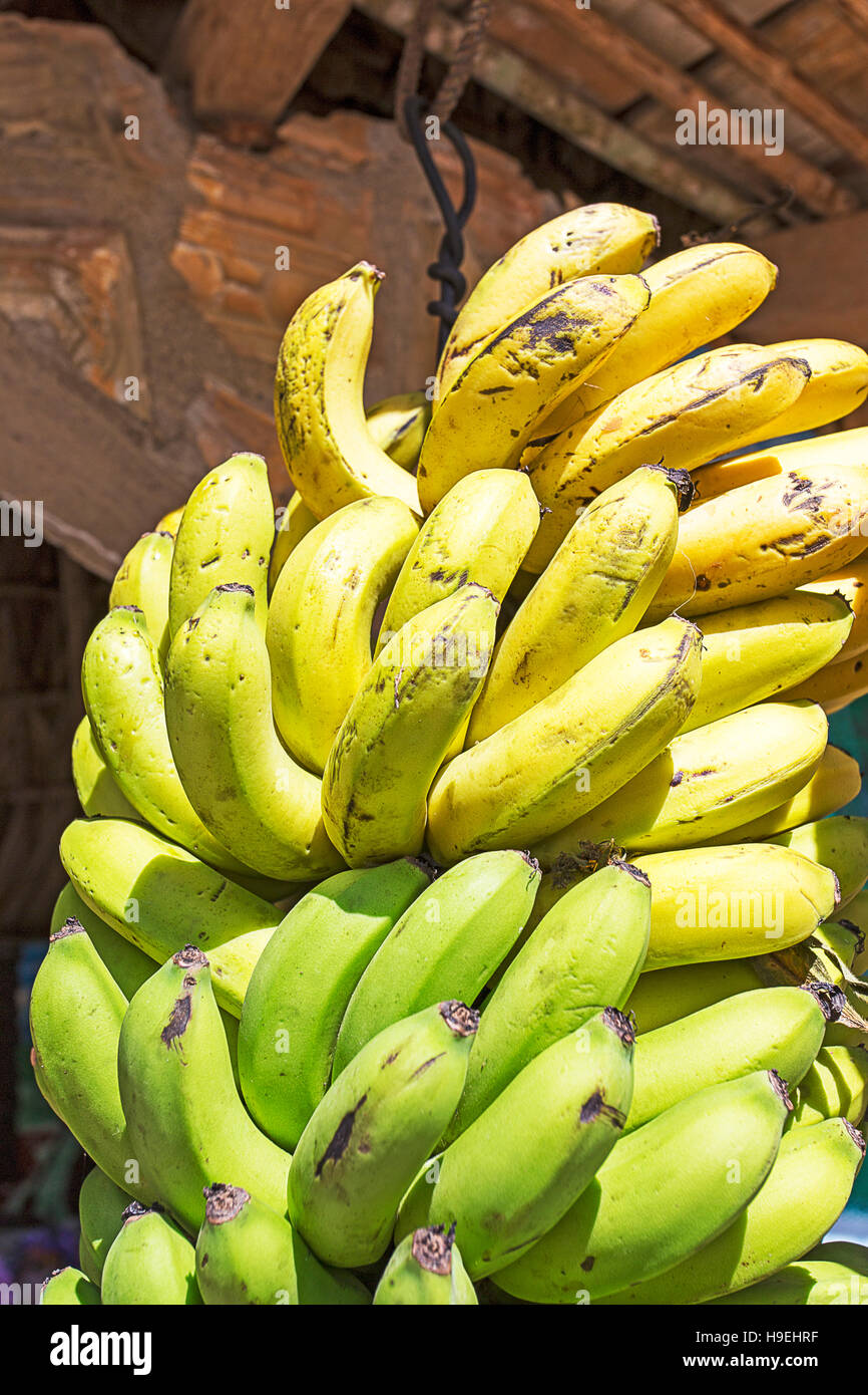 Ripened bananas hi-res stock photography and images - Alamy